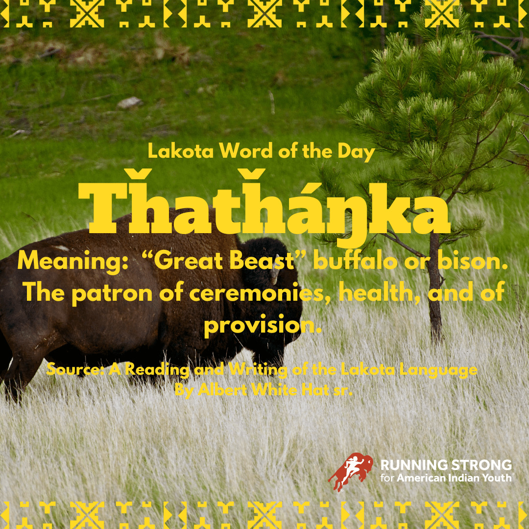 A Month to Celebrate and Share Lakota Culture - Indian Youth