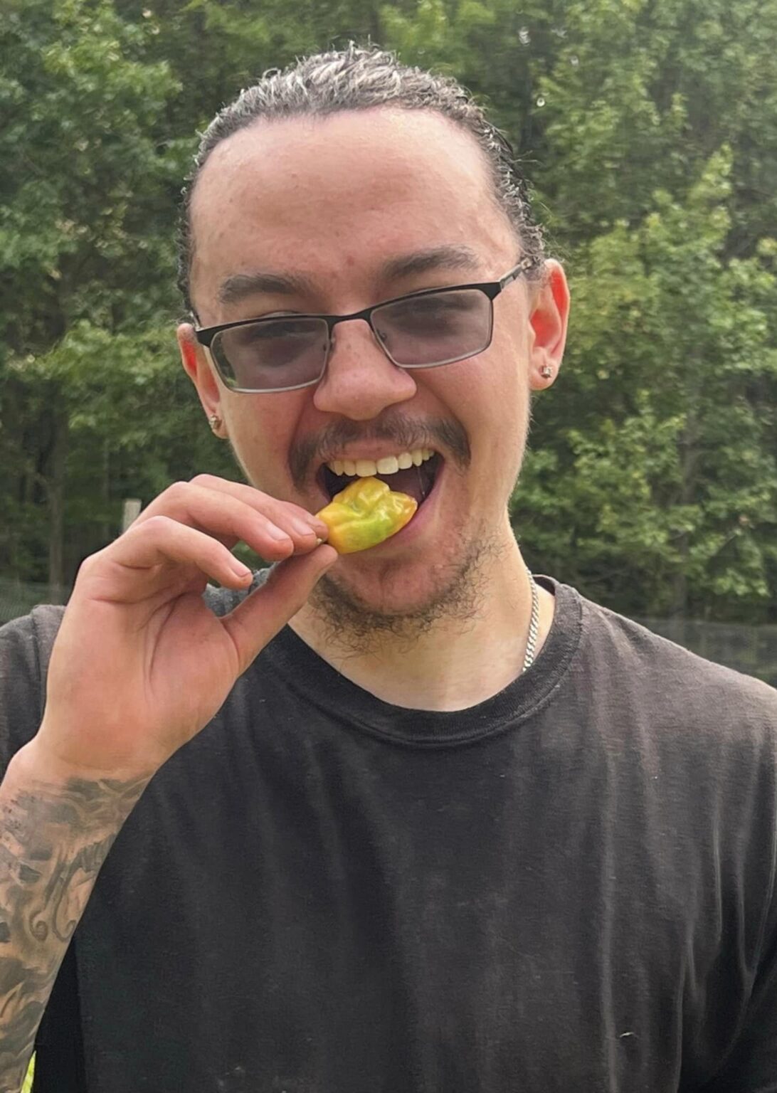 Cultivating Community: Noah Proctor's 2023 Dreamstarter Garden - Indian ...