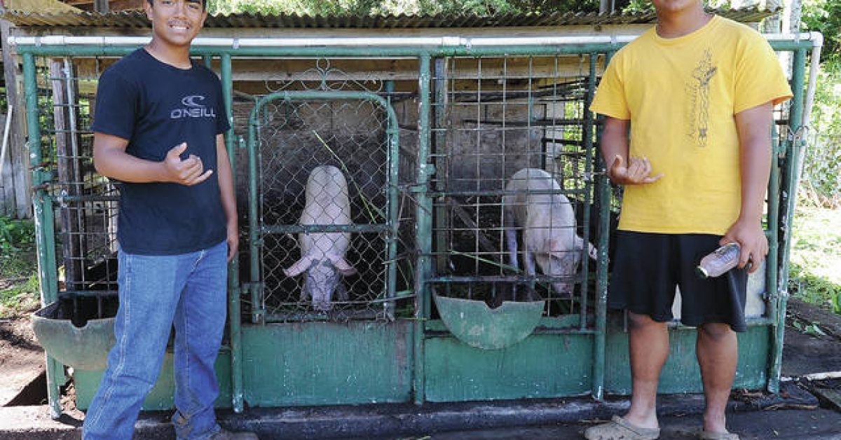 2019 Dreamstarter Aukea Ka’aekuahiwi Protects Traditional Pork Project ...